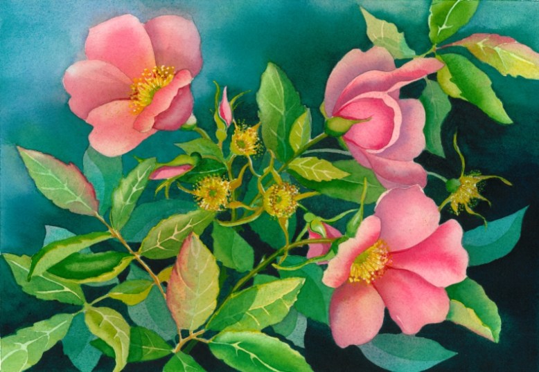 Paintings – Elizabeth Cox